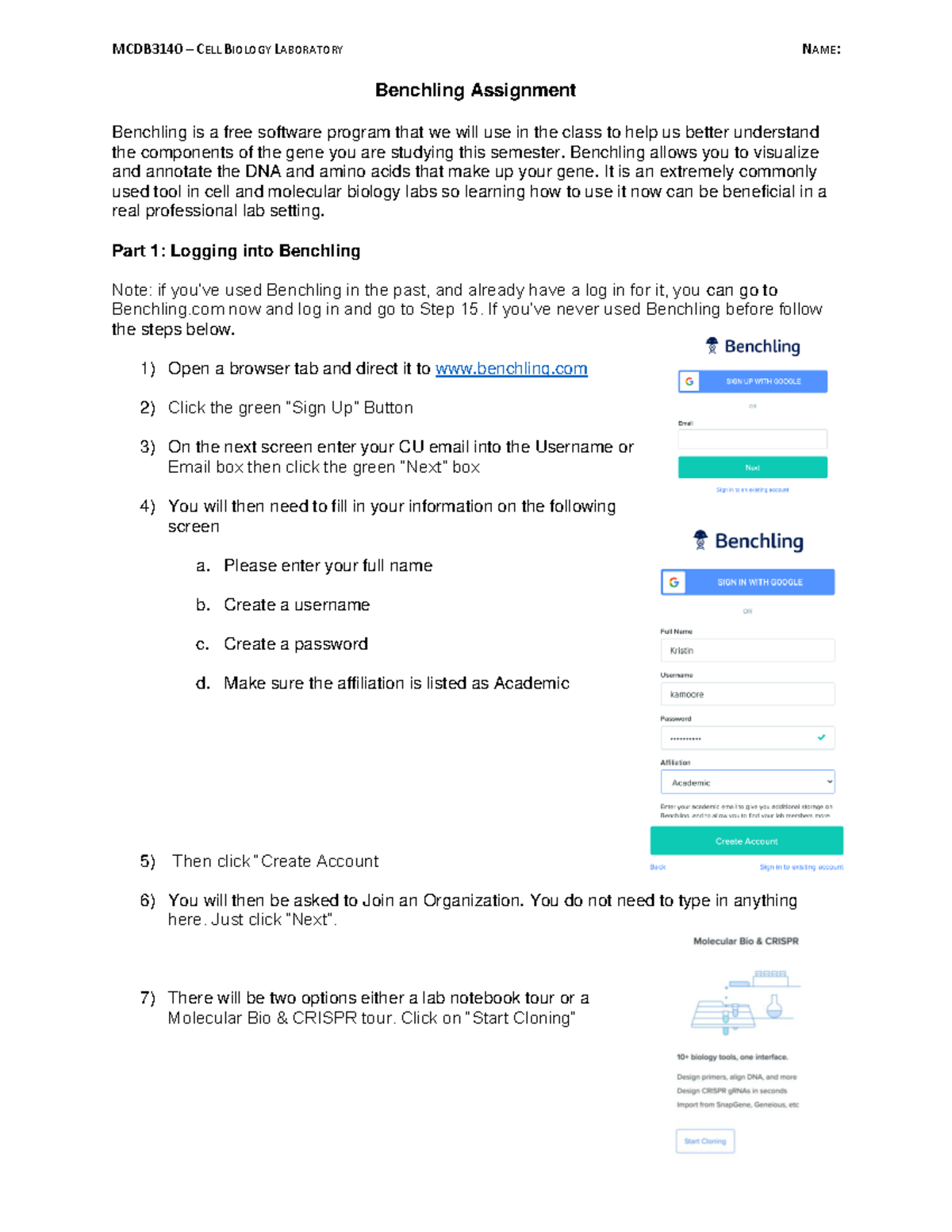 Pre-Lecture Benchling Assignment - MCDB3140 – CELL BIOLOGY LABORATORY ...