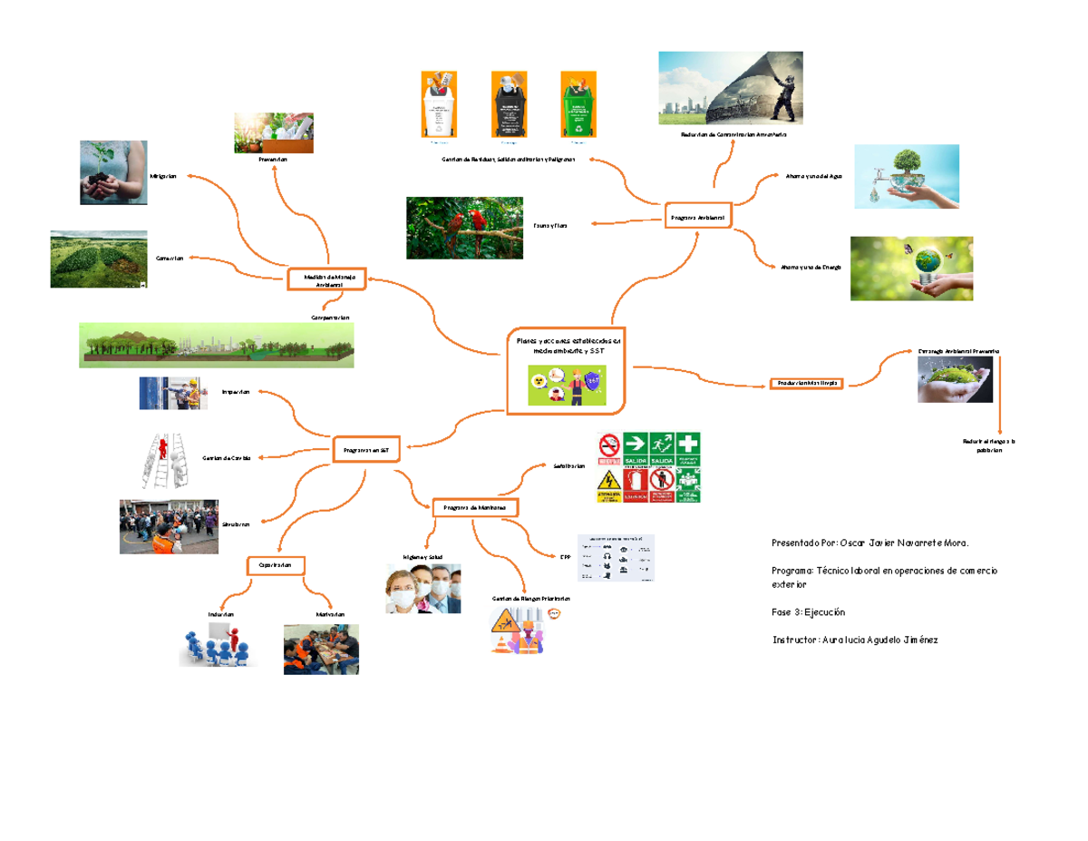 Mapa mental respecto a los planes y acciones establecidos en medio ...