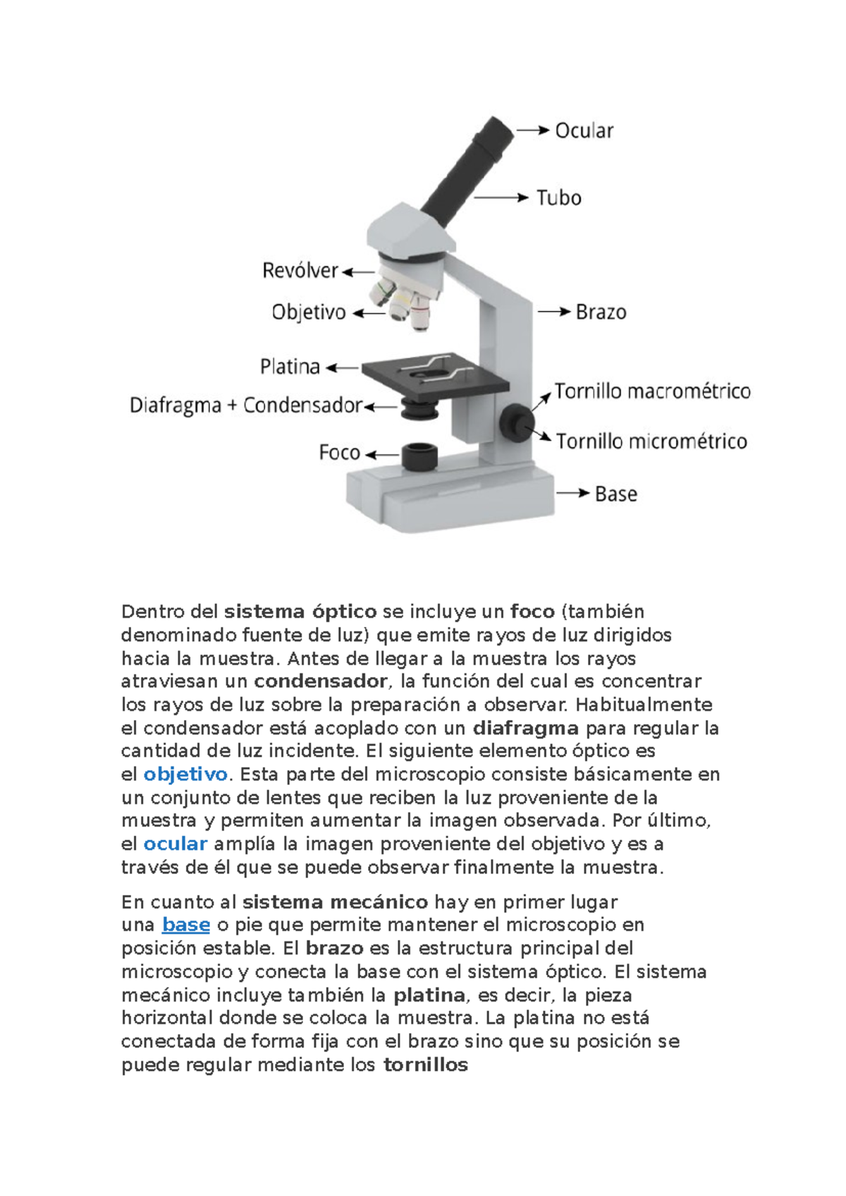 Microscopio - Dentro del sistema óptico se incluye un foco (también ...