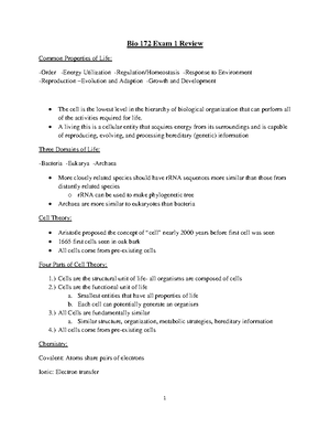 Matilda Script Full - ROALD DAHL’S MATILDA THE MUSICAL By Dennis Kelly ...