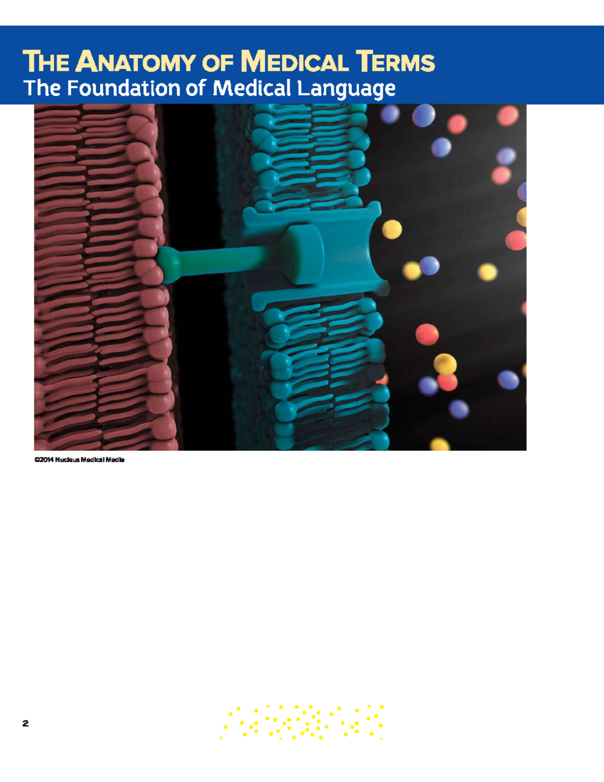 Medical Terminology - Occupational Therapy - Studocu