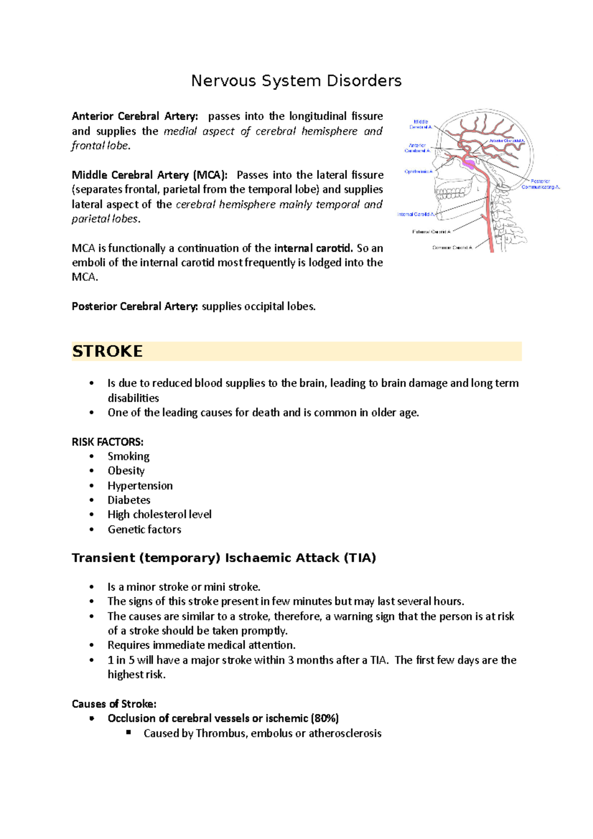 Nervous System Disorders - Nervous System Disorders Anterior Cerebral ...