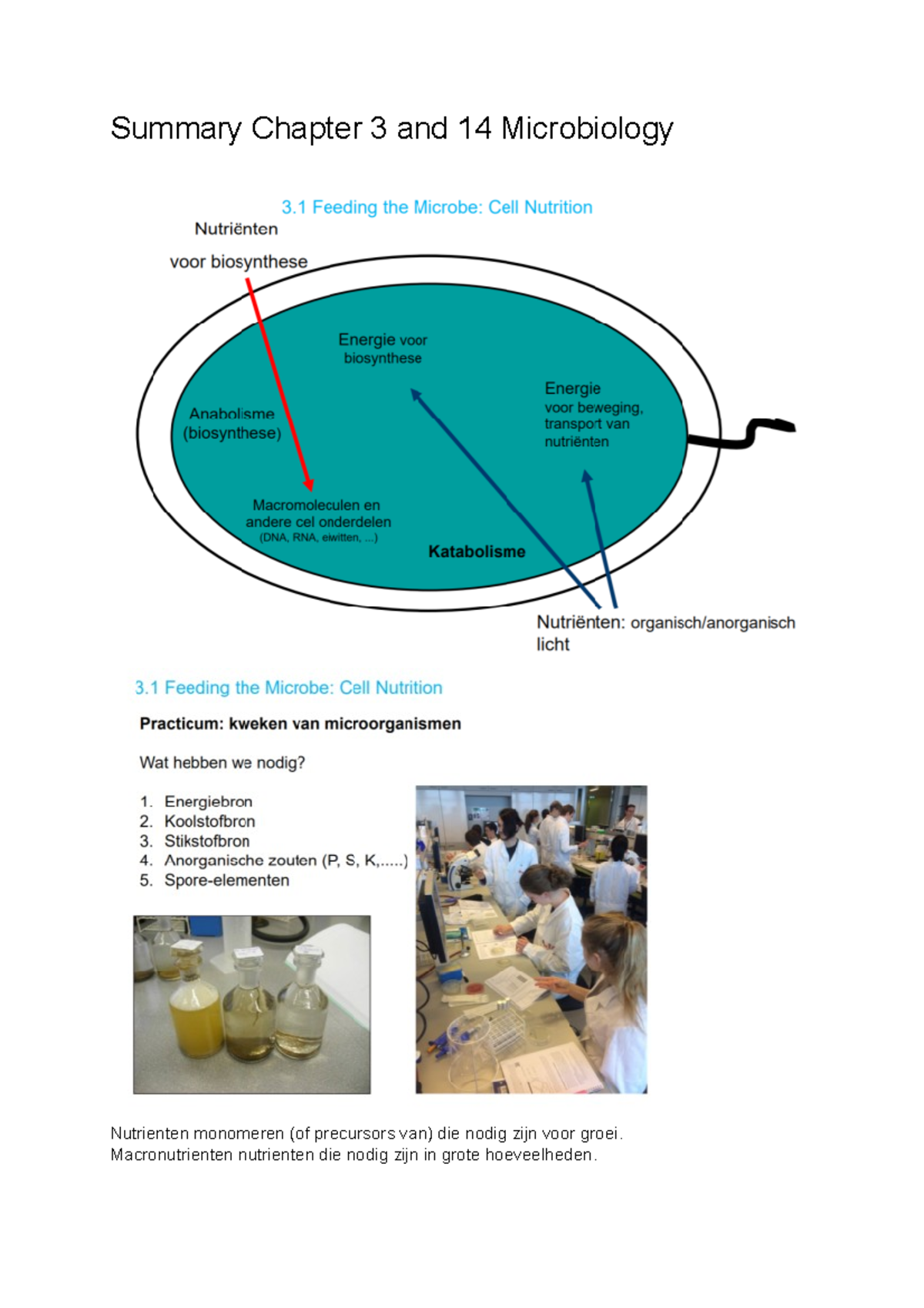 Summary Chapter 3 and 4 Microbiology - Summary Chapter 3 and 14 ...