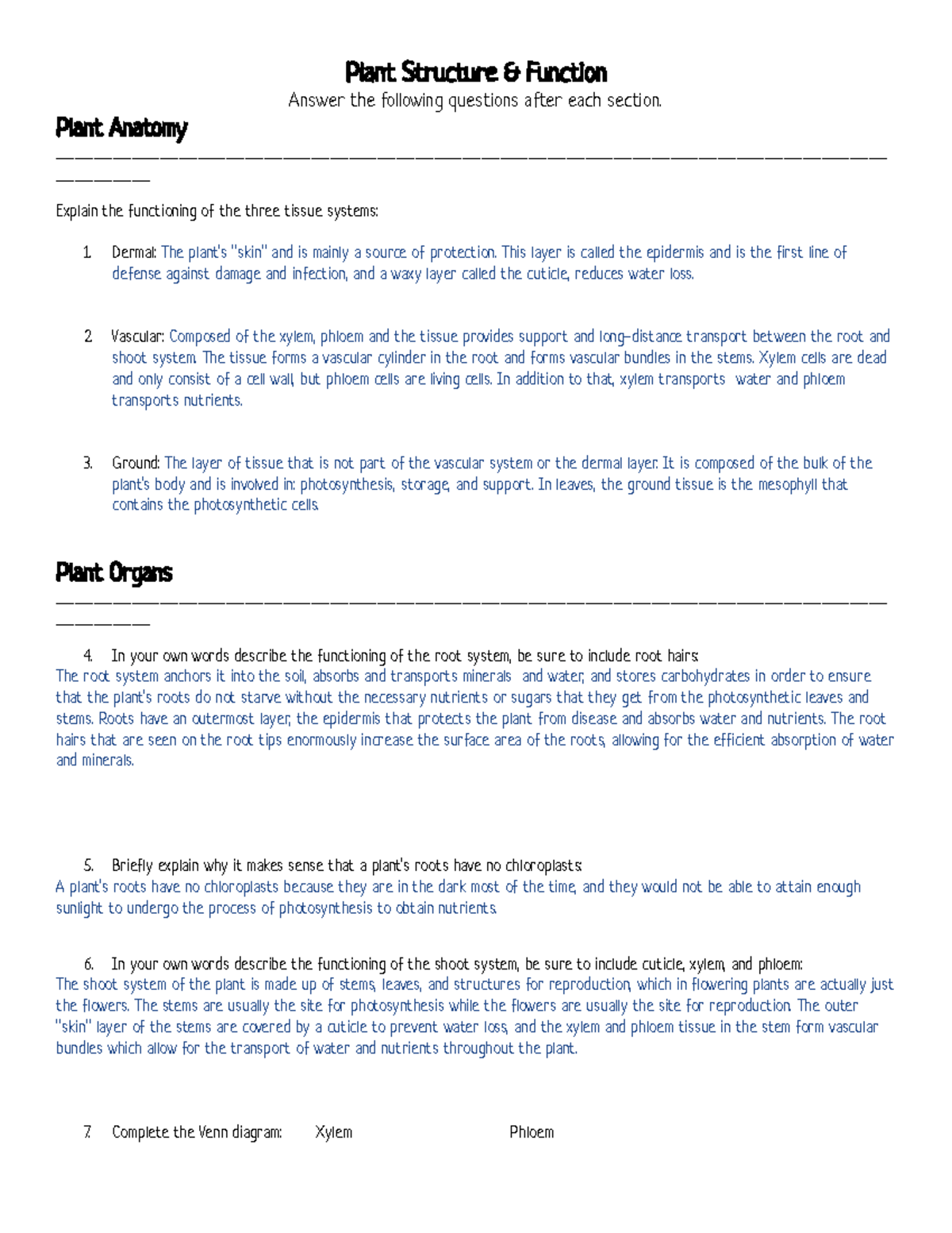 Copy of 2022 Plant Structure and Function Questions - Plant Structure ...
