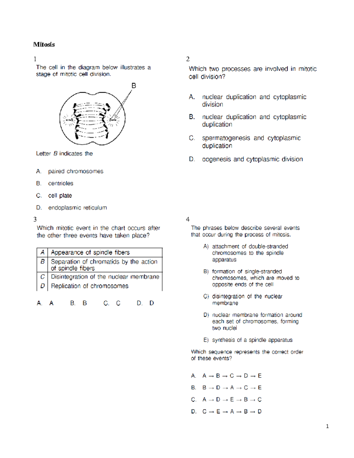 Mitosis Meiosis Problems - Chapter 8 Practice Test Mitosis 1 2 3 4 ...