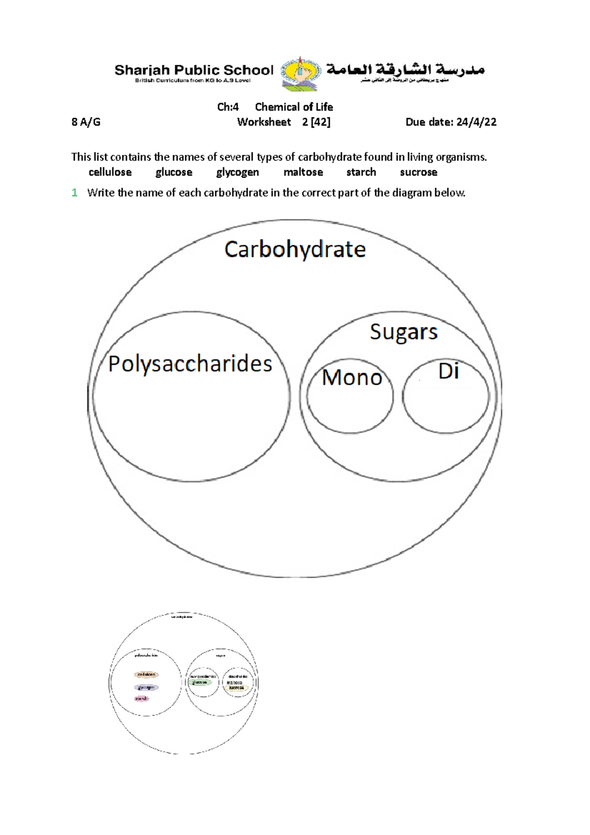 Ch 4 worksheet 2 ans key - biology - Ch:4 Chemical of Life 8 A/G ...