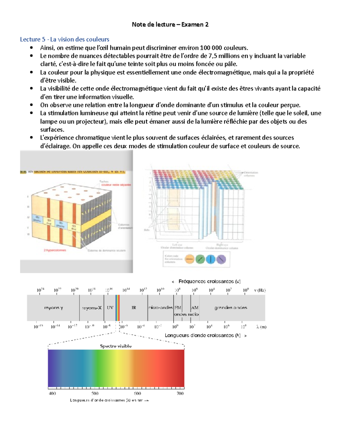 Notes de lecture - examen 2 (perception) - Note de lecture – Examen 2 ...