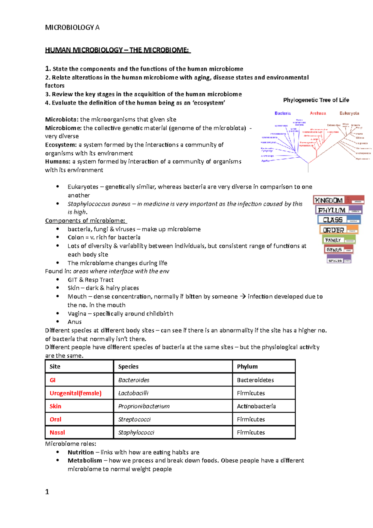 Microbiology A Notes - HUMAN MICROBIOLOGY – THE MICROBIOME: 1. State ...