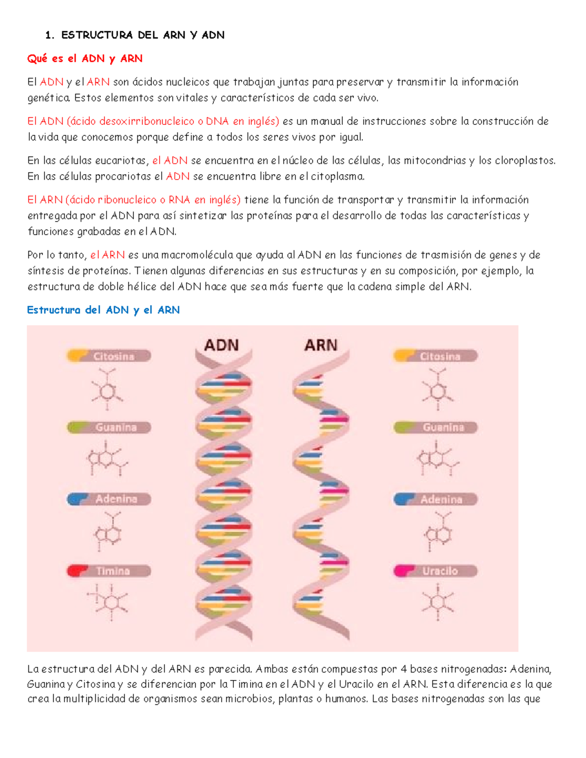 Estructura DEL ARN Y ADN - 1. ESTRUCTURA DEL ARN Y ADN Qué es el ADN y ARN El ADN y el ARN son ...