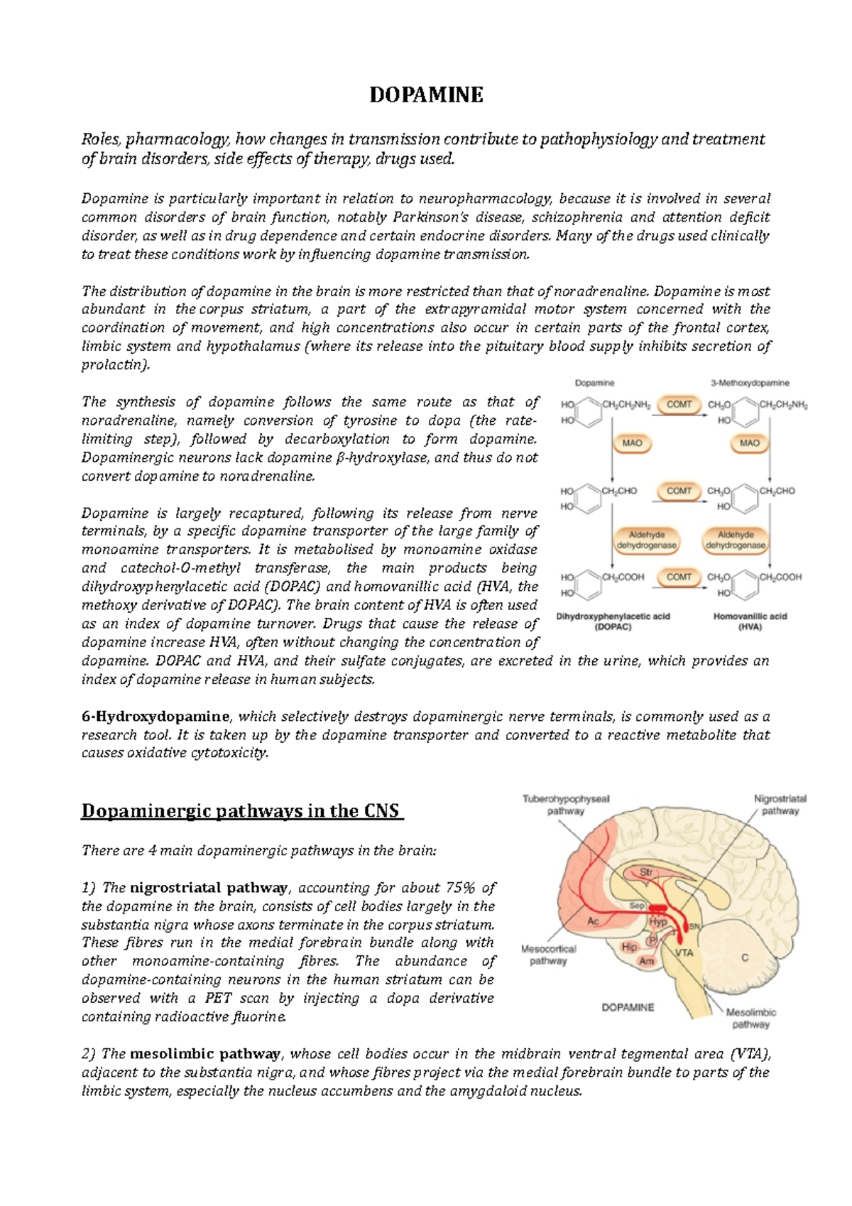 Dopamine - Notes - DOPAMINE Roles, pharmacology, how changes in ...