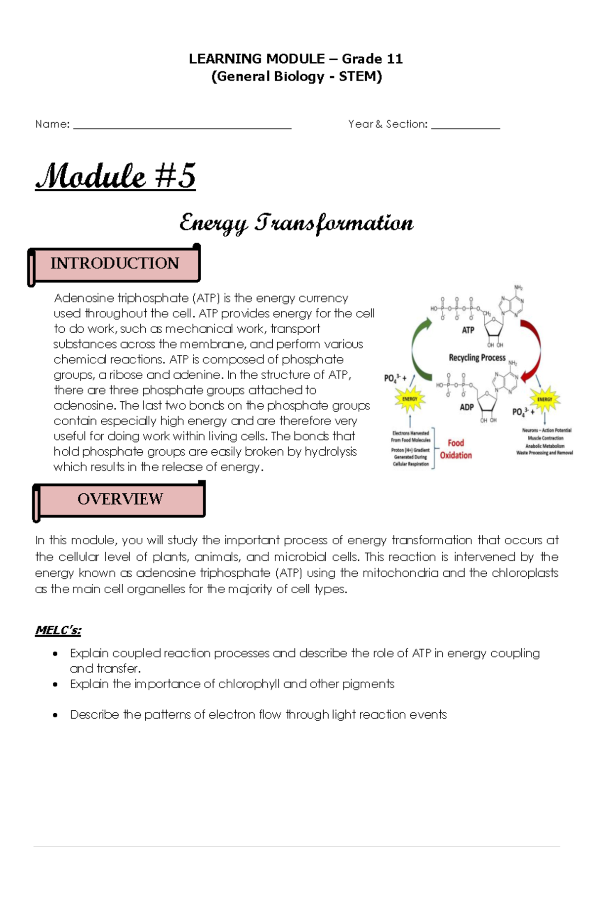 GEN BIO 2nd Q- 5th MDL - JUST ENJOY THE MODULES AND I HOPE THAT YOU ...