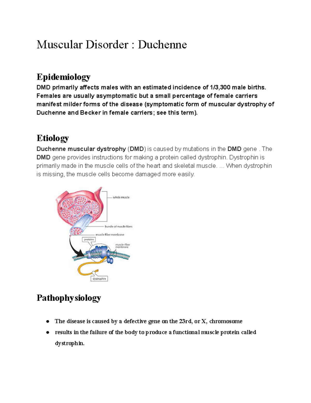 Duchenne Muscular Dystrophy (DMD) - Pathophysiology Overview - Muscular ...
