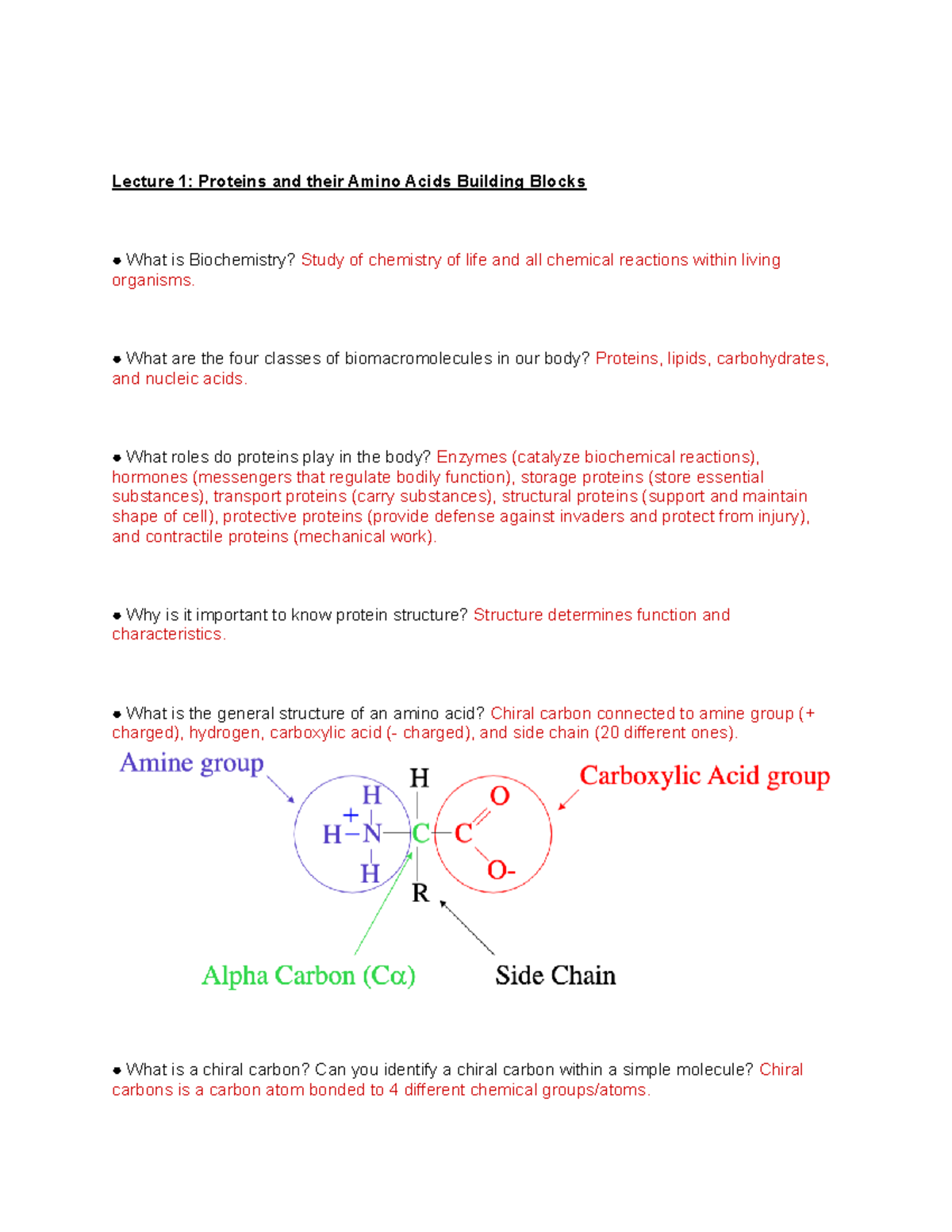 Biochem Exam 2 Study Guide - Proteins and Nucleic acids - BIOLCHEM 212 ...