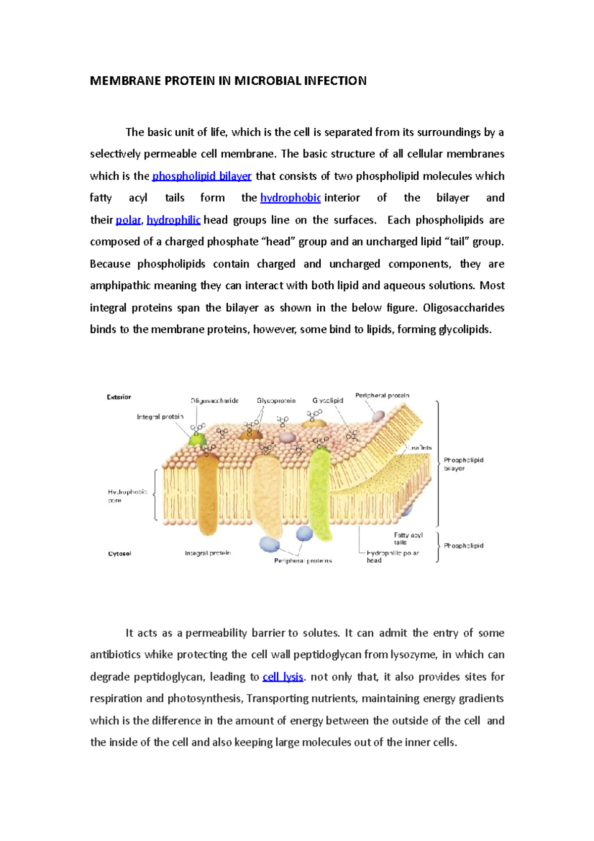 Membrane Protein IN Microbial Infection - MEMBRANE PROTEIN IN MICROBIAL ...