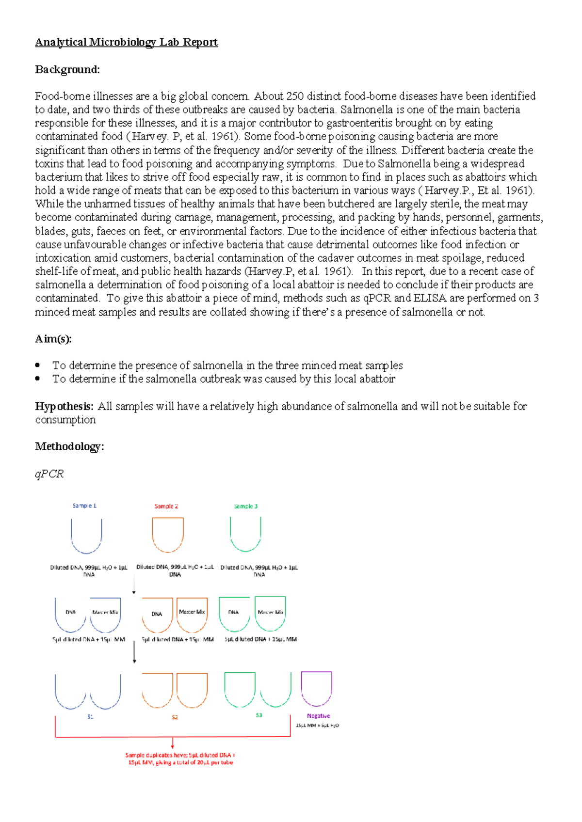 Analytical Microbiology Lab Report - Analytical Microbiology Lab Report ...