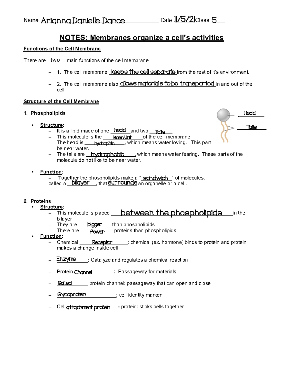 Notes Cell Membranes - Name: Arianna Date: Class: 5 Danielle Dance ...