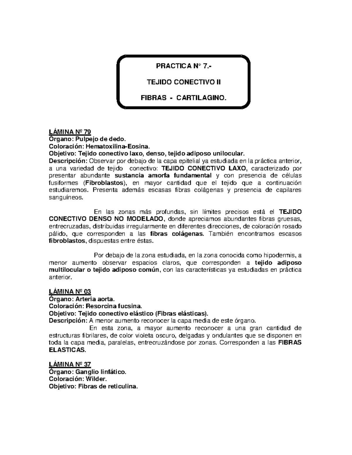 7 Y 8 - histology - LÁMINA Nº 79 Órgano: Pulpejo de dedo. Coloración ...