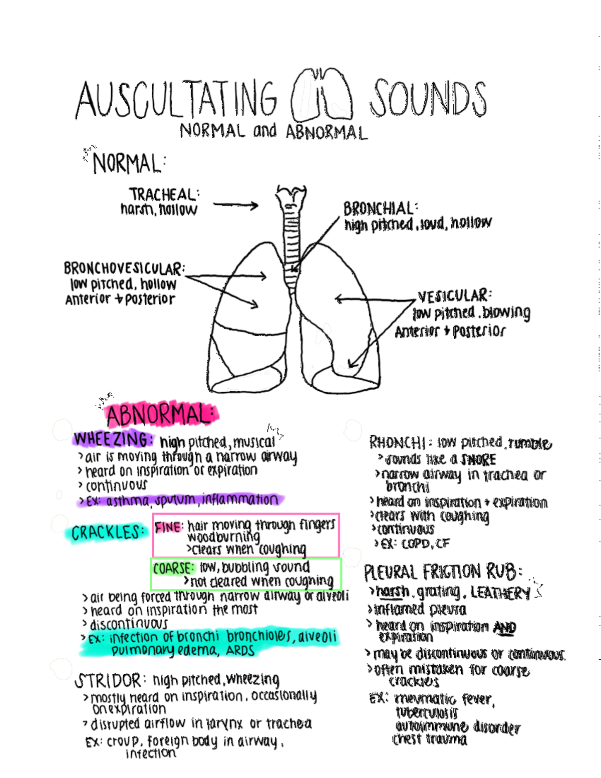 NSG 3160 Lung Sounds - Slides - AUSCULTATING 00 SOUNDS NORMAL and ...