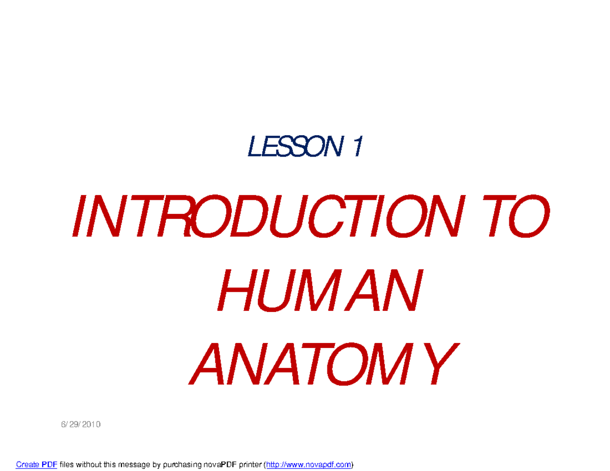 Lesson 1 Introduction TO Anatomy - LESSON 1 INTRODUCTION TO HUM AN ...