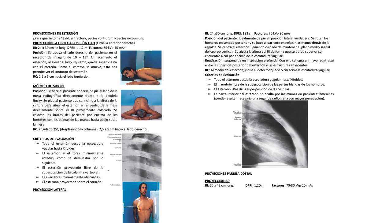 Proyecciones Torax - PROYECCIONES DE ESTERNÓN ¿Para qué se toma ...