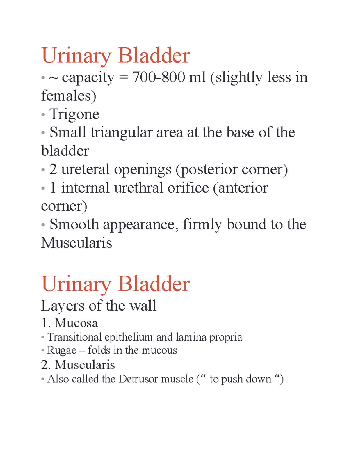 Urinary Bladder - Urinary Bladder • ~ capacity = 700-800 ml (slightly ...