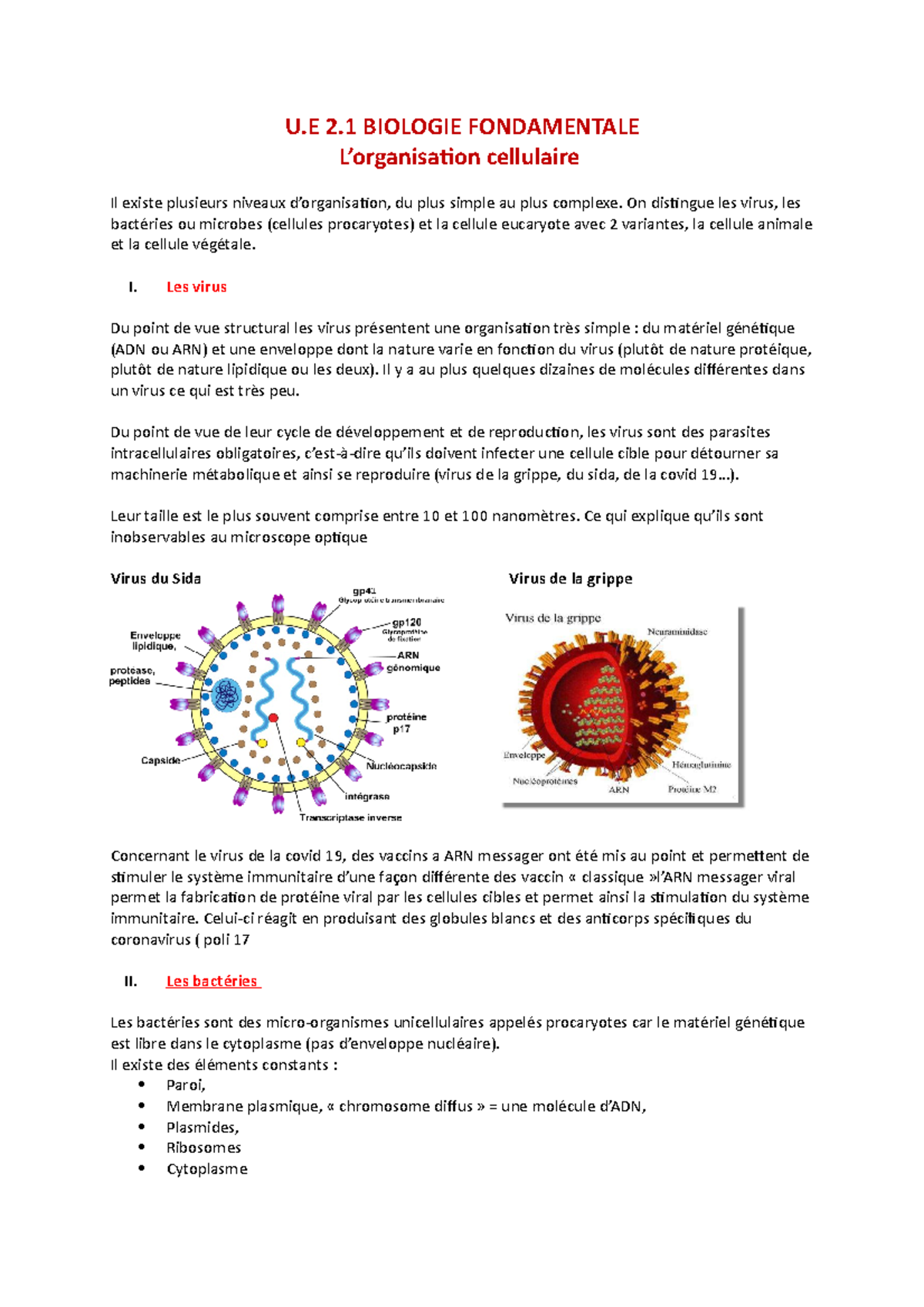 L'organisation cellulaire - U 2 BIOLOGIE FONDAMENTALE L’organisation ...