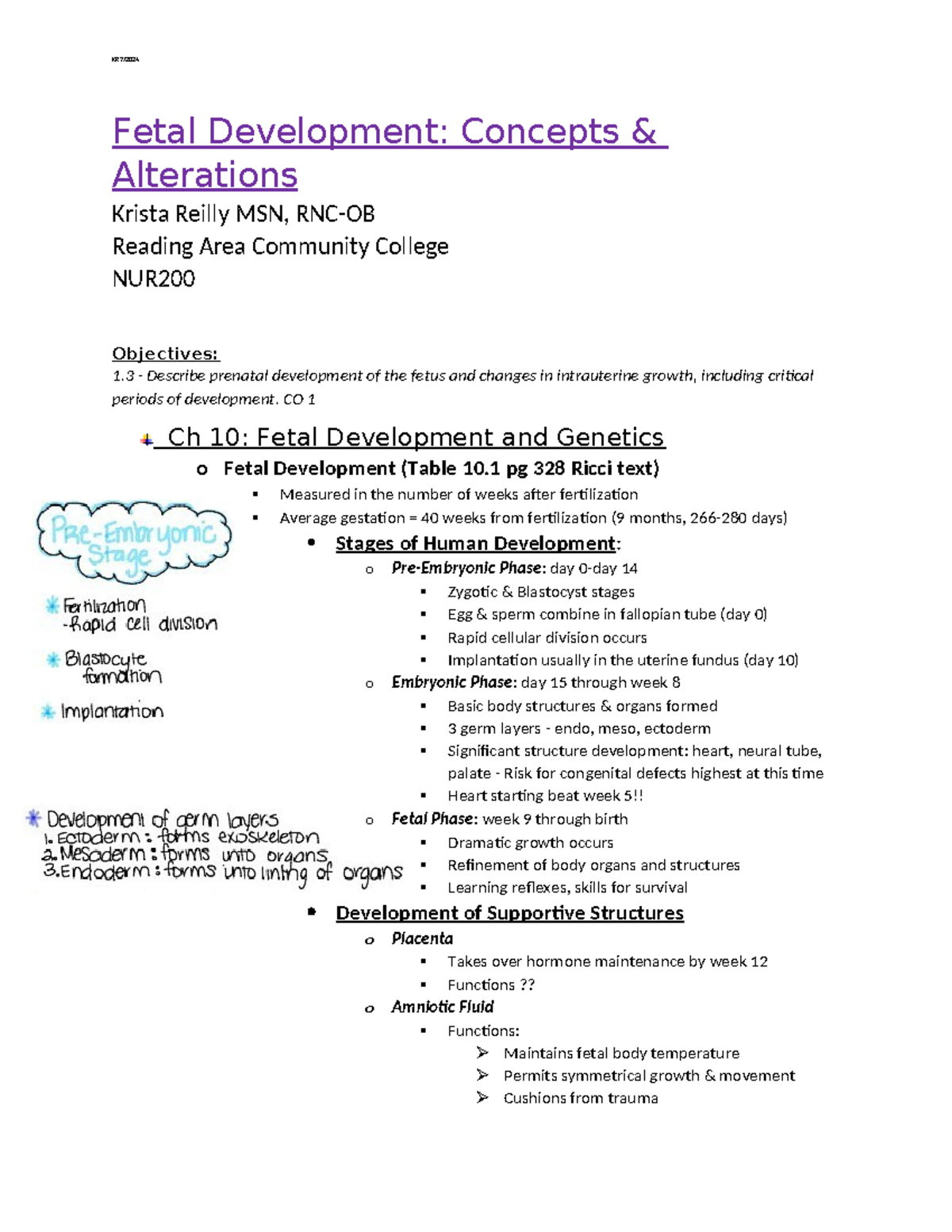 Fetal Development Outline - Week 1 - KR 7/ Fetal Development: Concepts ...