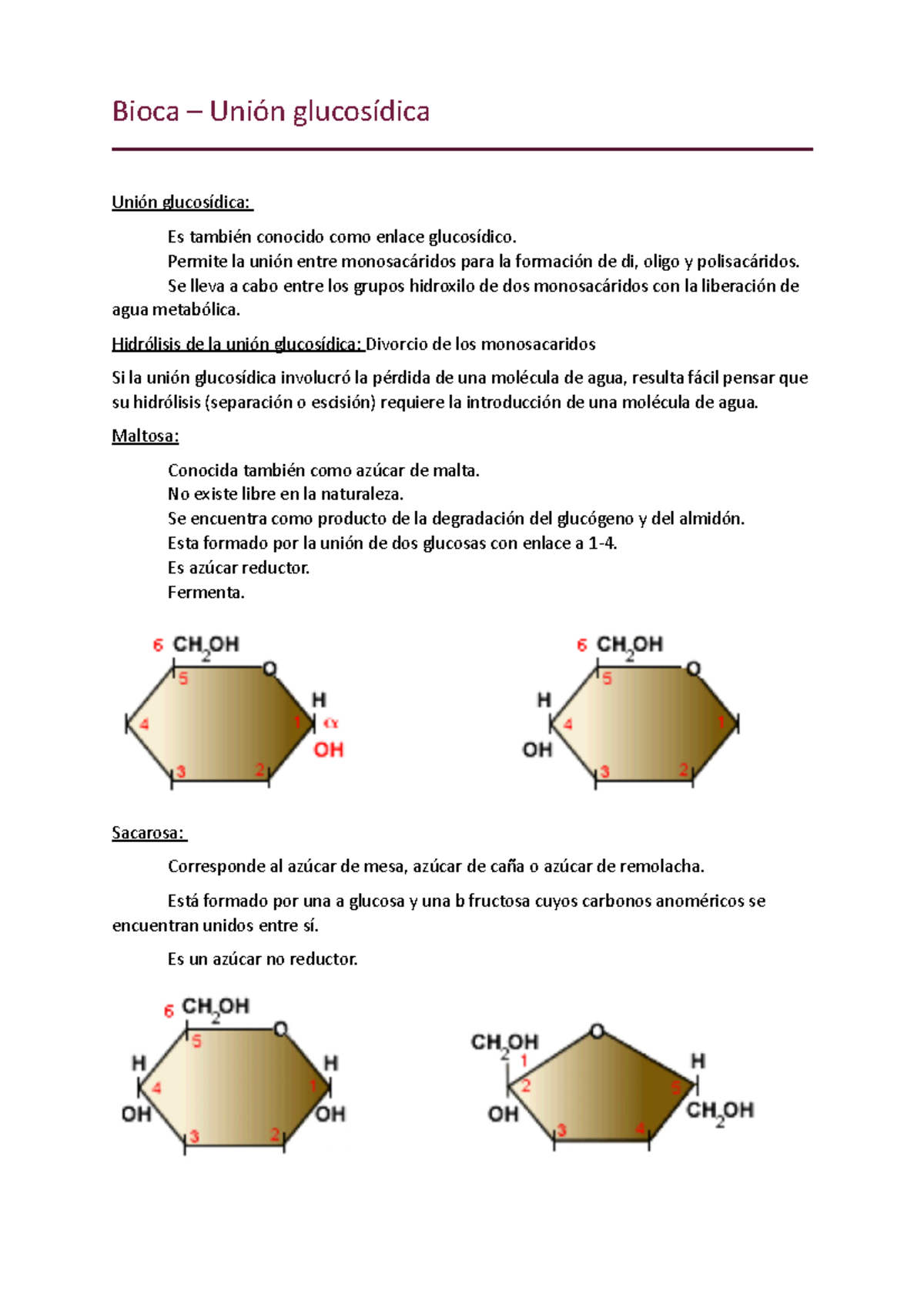 Bioca - Union glucosidica - Bioca – Unión glucosídica Unión glucosídica ...