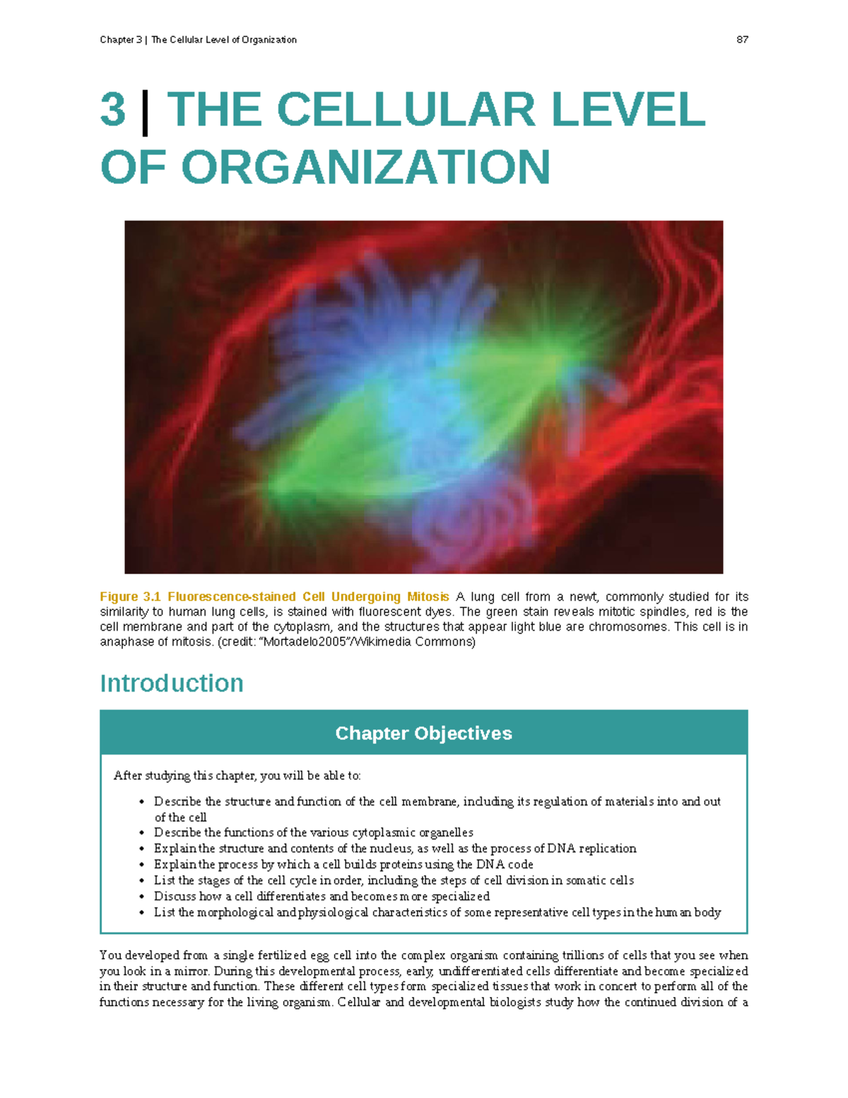 Chapter 3 - text - 3 | THE CELLULAR LEVEL OF ORGANIZATION Figure 3 ...
