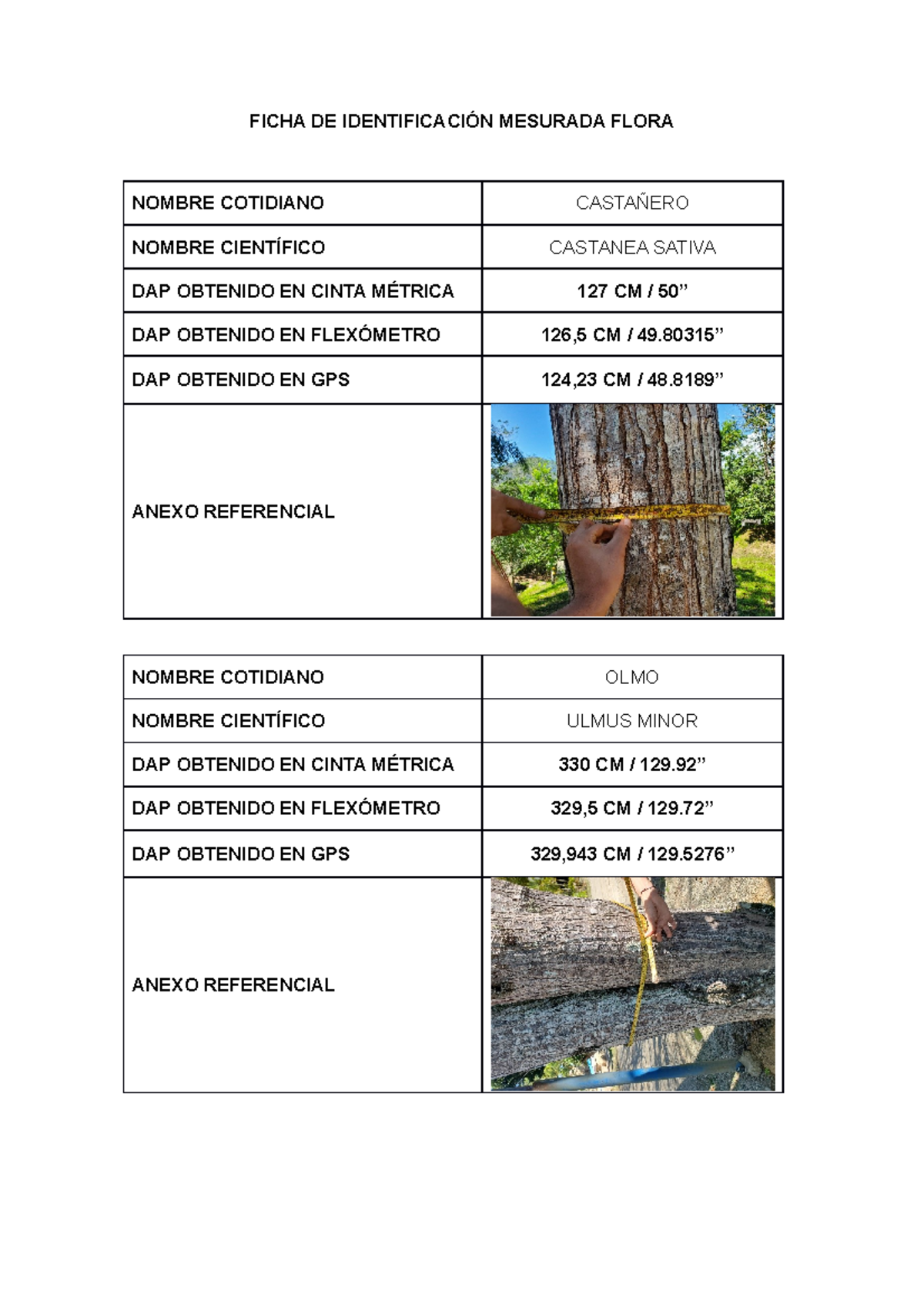 Ficha DE Identificación Mesurada Flora para editar - FICHA DE ...