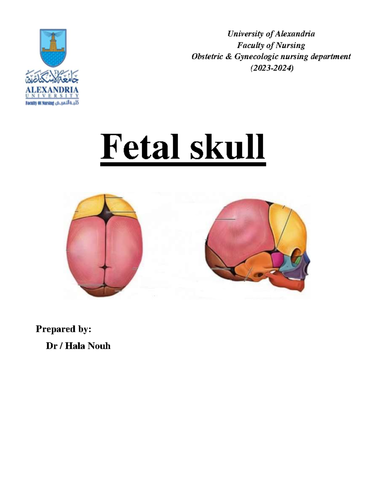 Fetal skull - best wishes - University of Alexandria Faculty of Nursing ...