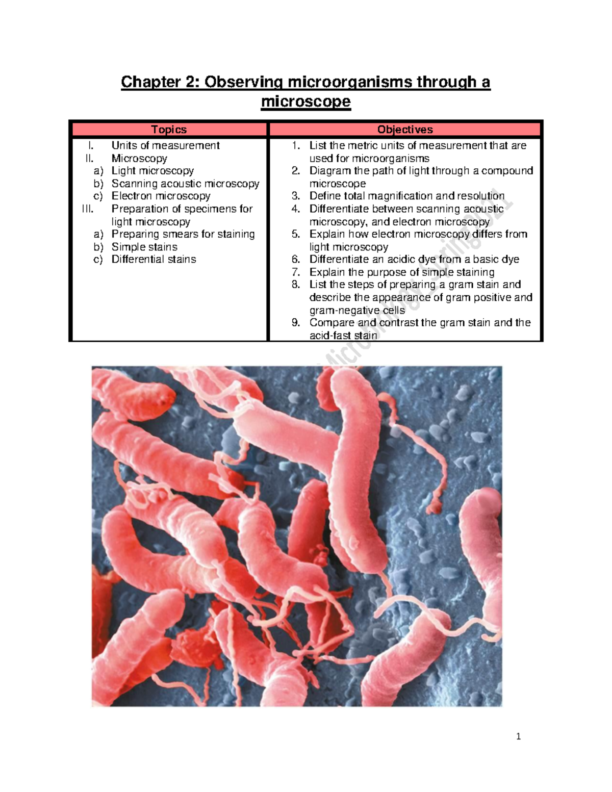 Chapter 2 - microbiology - Chapter 2: Observing microorganisms through ...