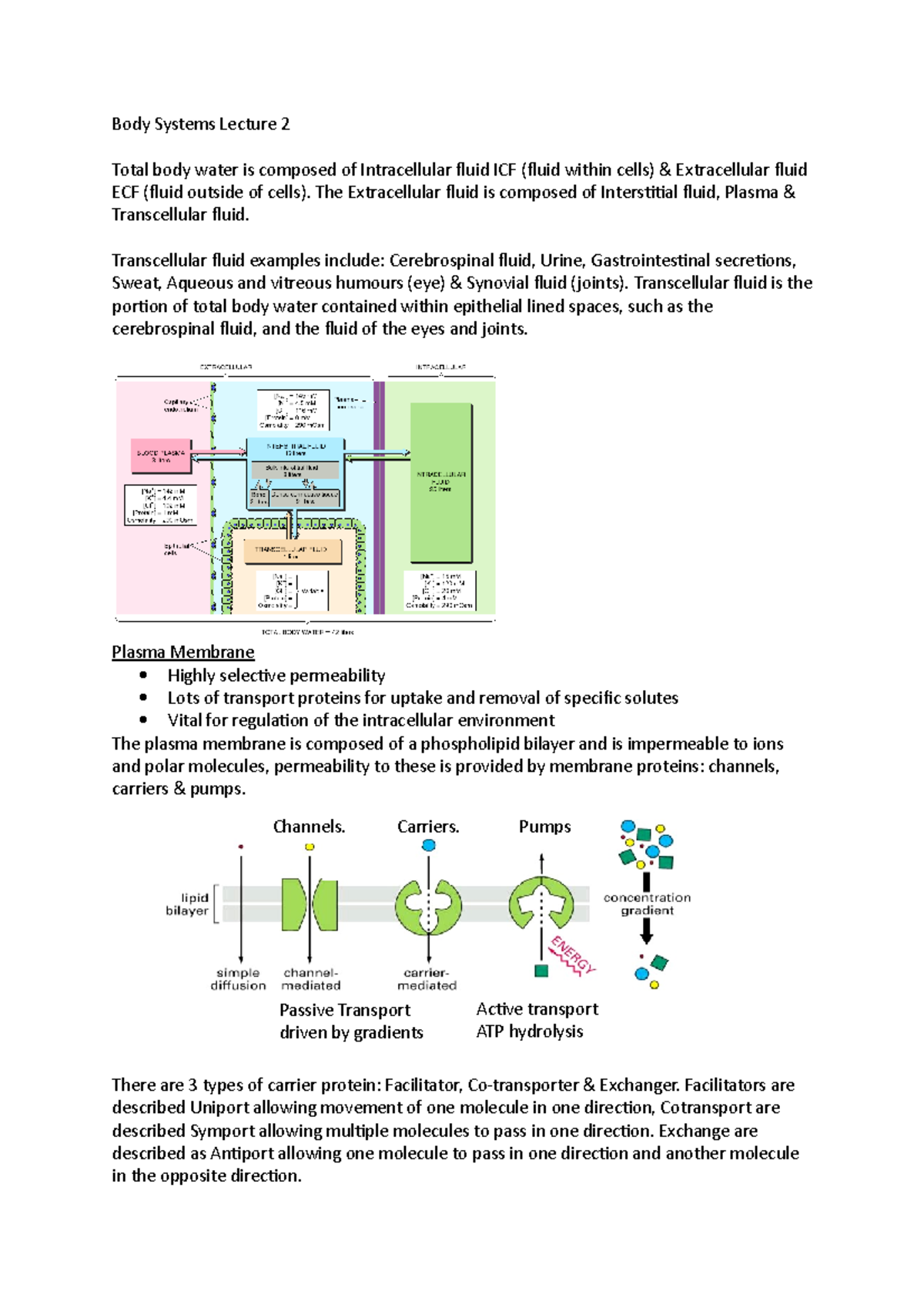 Body Systems Lecture 2 - The Extracellular fluid is composed of ...