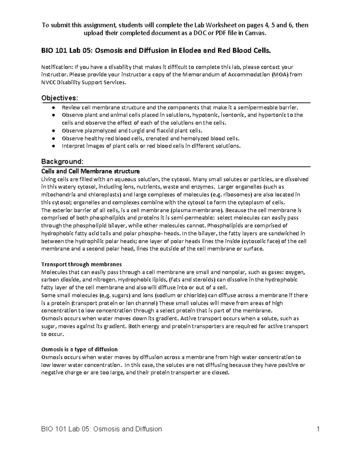 Lab 05 Lab 5 Worksheet And Answers Kdy 
