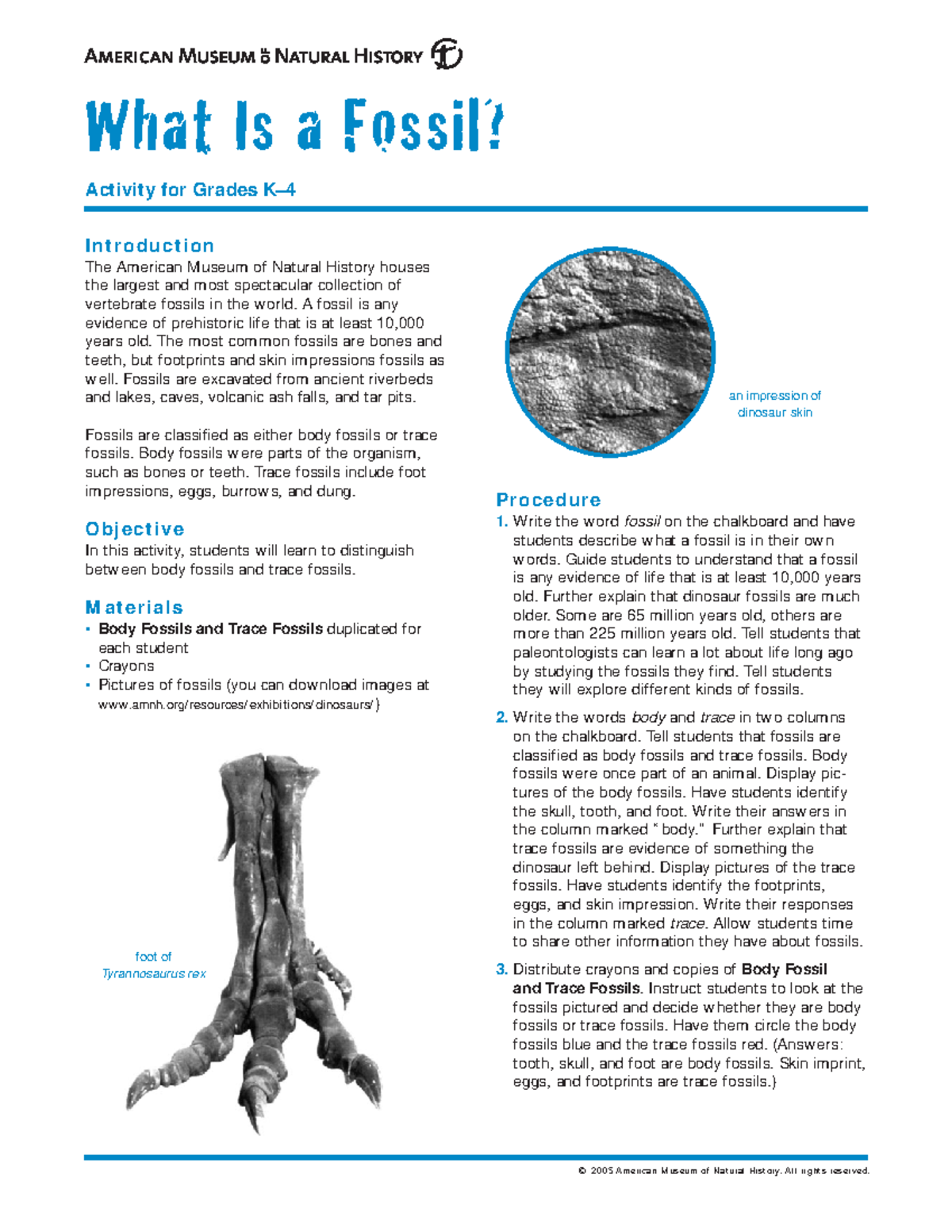 Fossils of Dinosaurs - Int roduct ion The American M useum of Natural ...