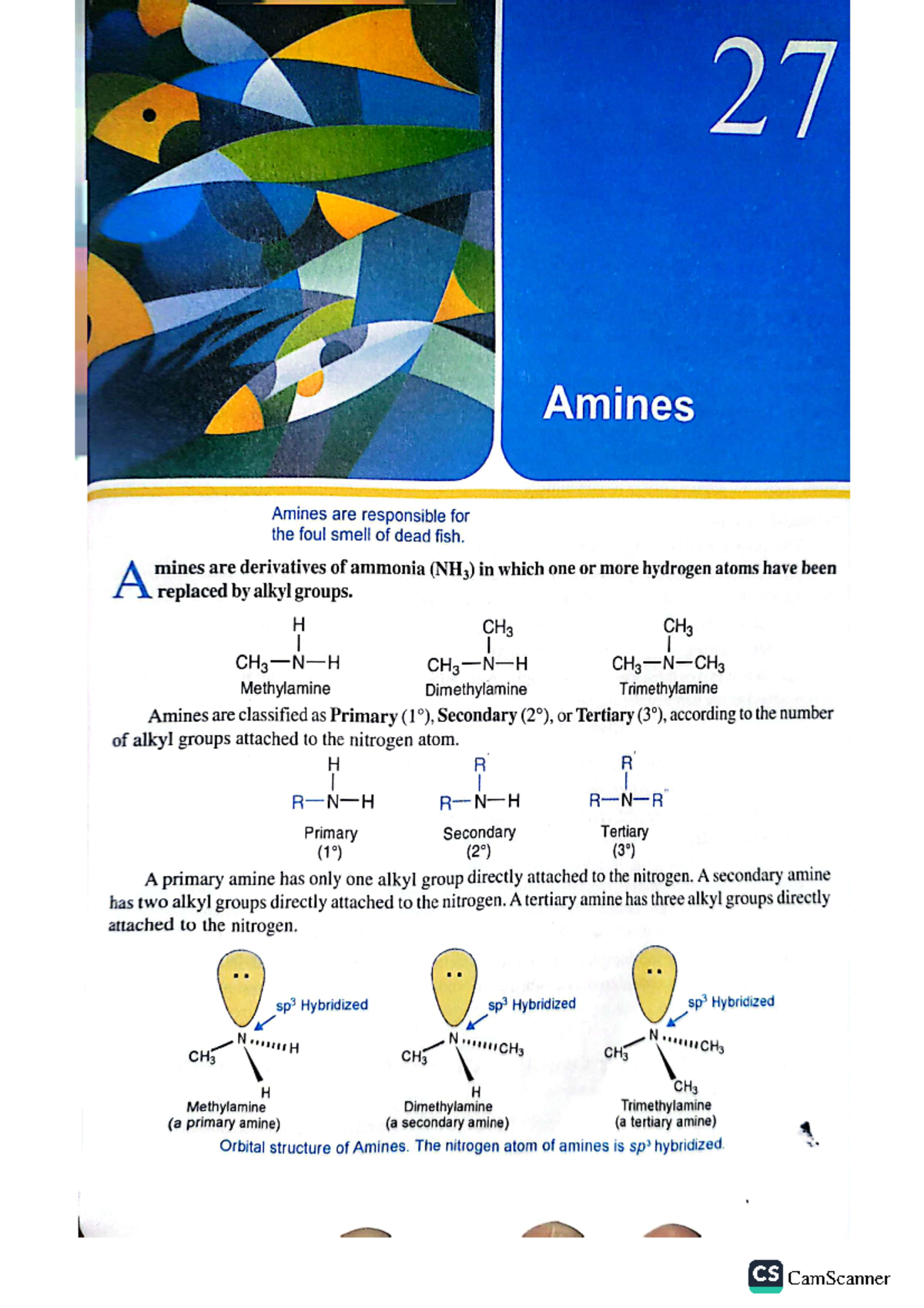 Amines - This chemistry lecture sheet PDF provides a comprehensive ...
