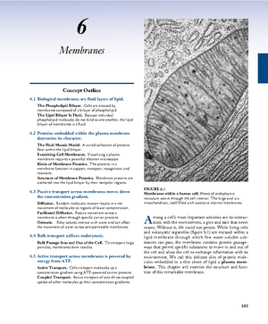 Chapter 7 Biology - ####### 123 7 Cell-Cell Interactions Concept ...