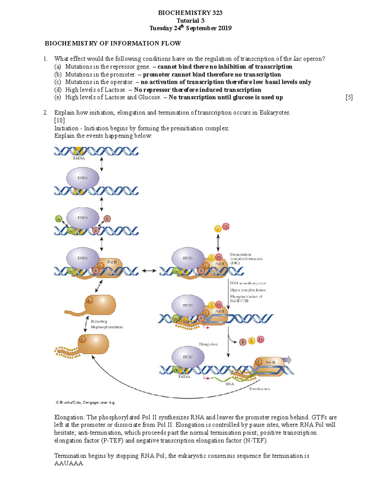 Tutorial%203%20Transcription%20and%20Translation%20and%20Memo - Studocu
