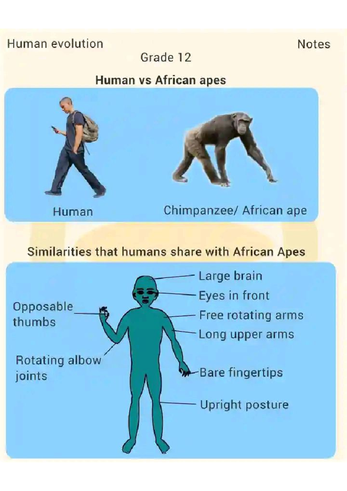 Lmmm - Let's build a better future by understanding how evolution ocurs ...