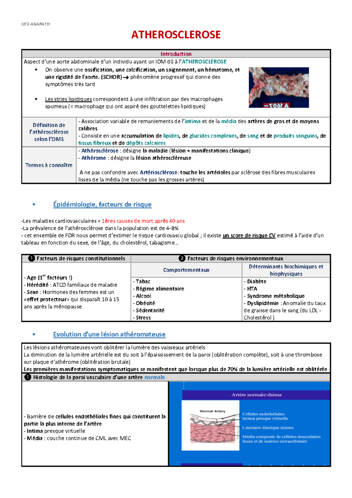 1 Athérosclérose Cours De Semis Warning Error During Font Loading Xmlrequest Is Not 