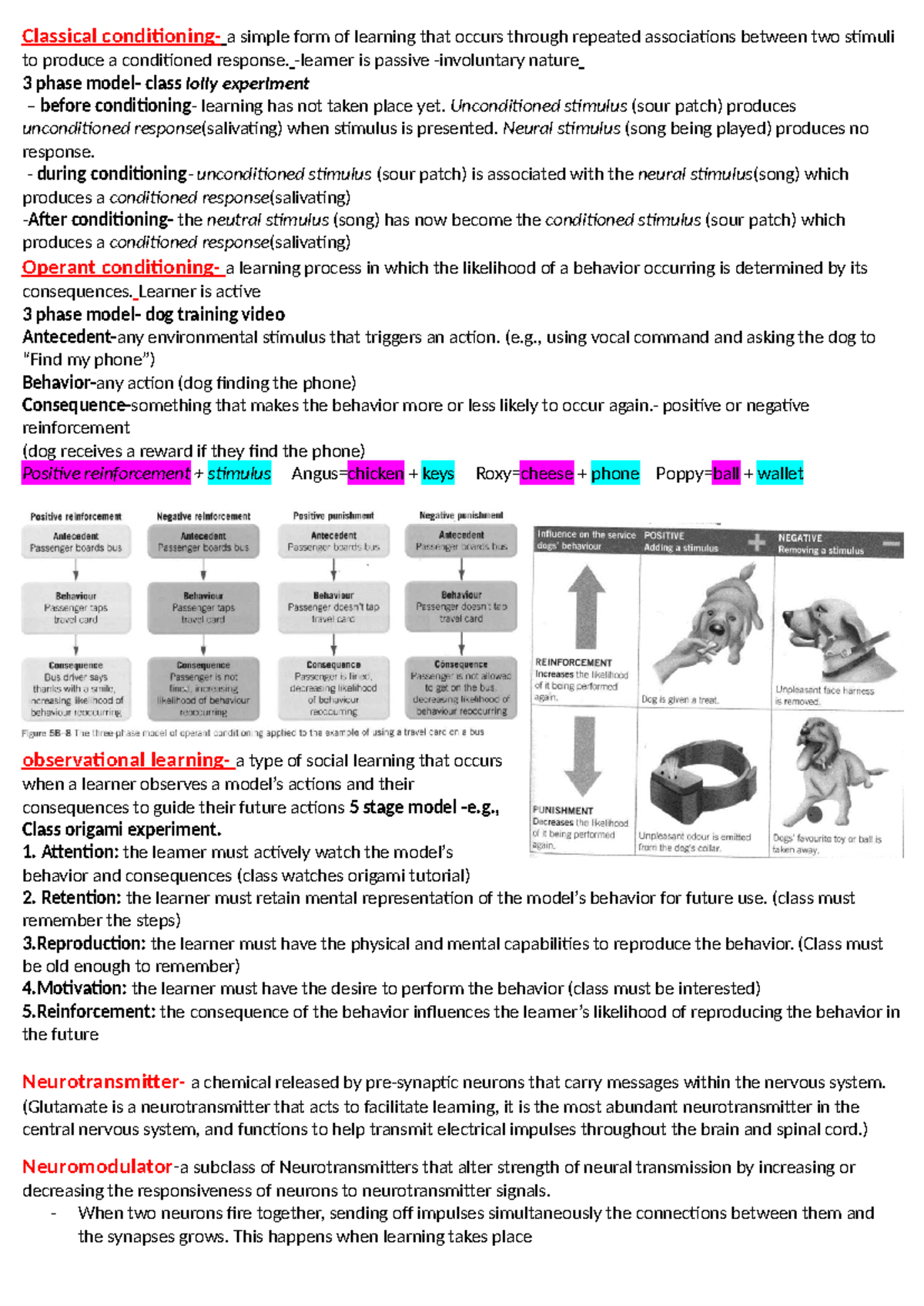 stages/models of Learning - Classical conditioning- a simple form of learning that occurs ...