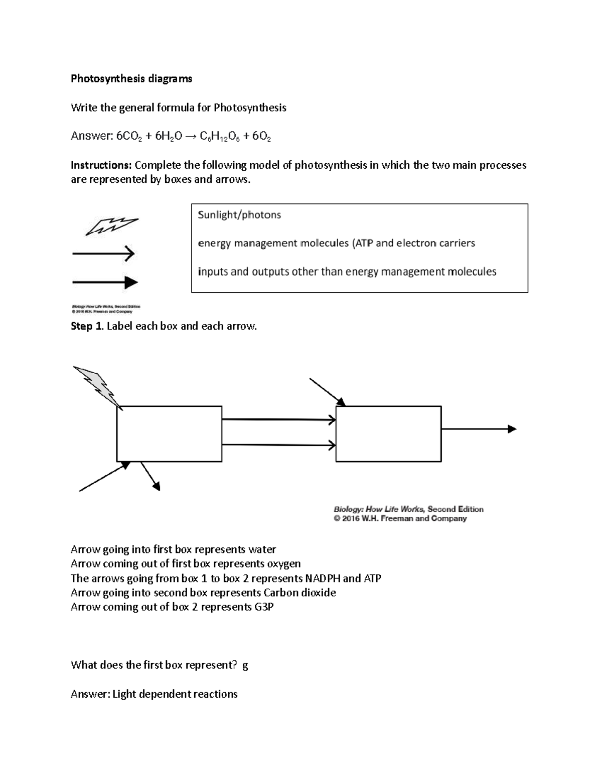 Bio - Bio - Photosynthesis diagrams Write the general formula for ...