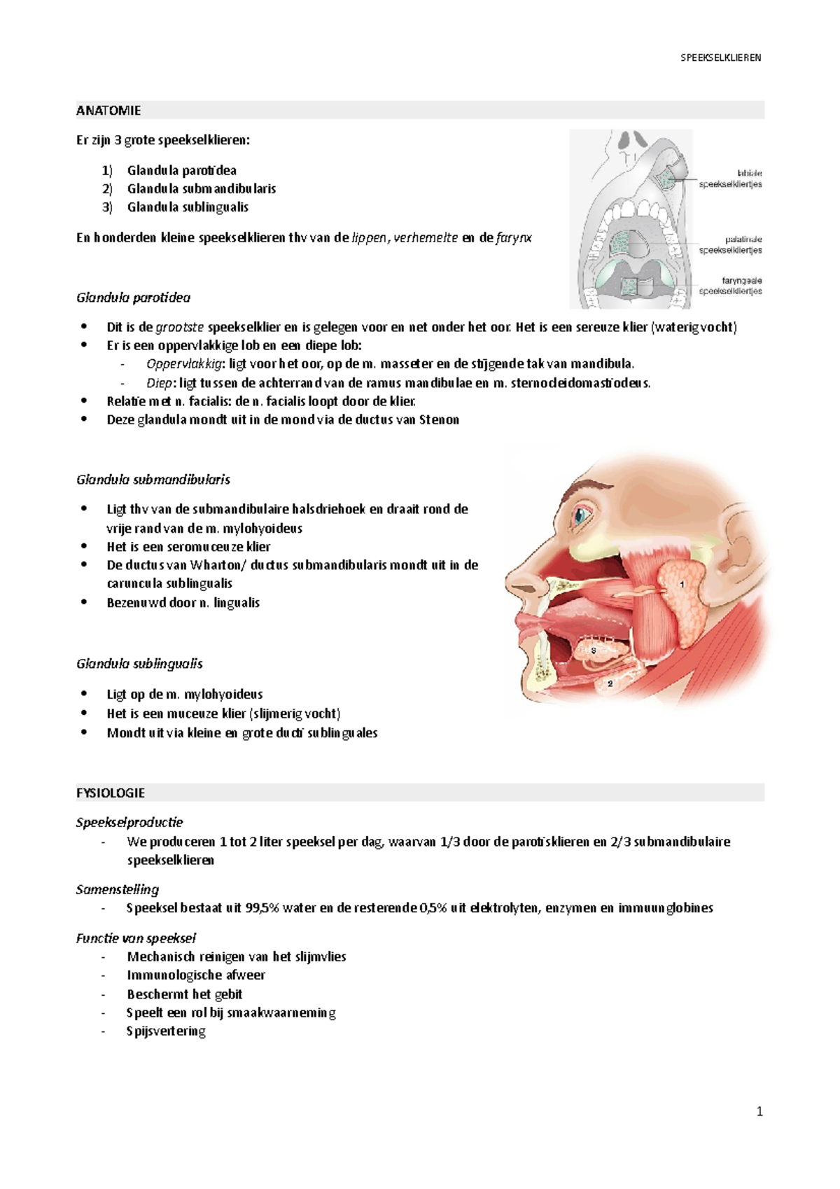 SV les 4 - speekselklieren - SPEEKSELKLIEREN ANATOMIE Er zijn 3 grote ...