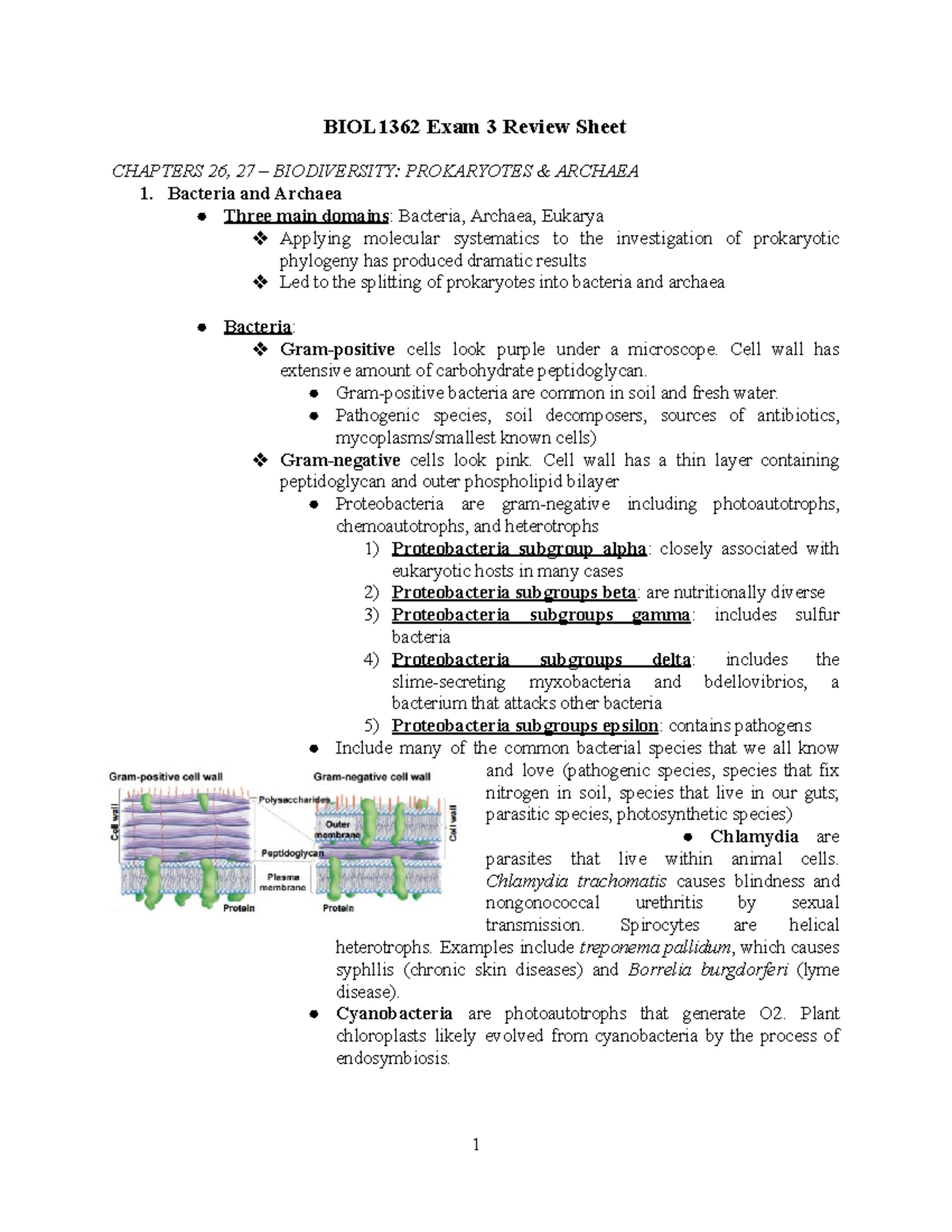 Bio exam 3 review - BIOL1362 Exam 3 Review Sheet CHAPTERS 26, 27 ...
