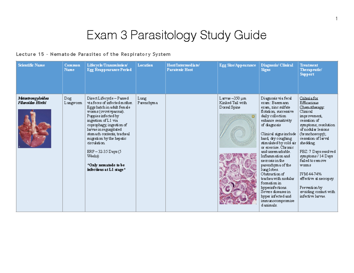 Exam 3 Parasites-2 - Lecture notes lectures 15 to 21 - Exam 3 ...