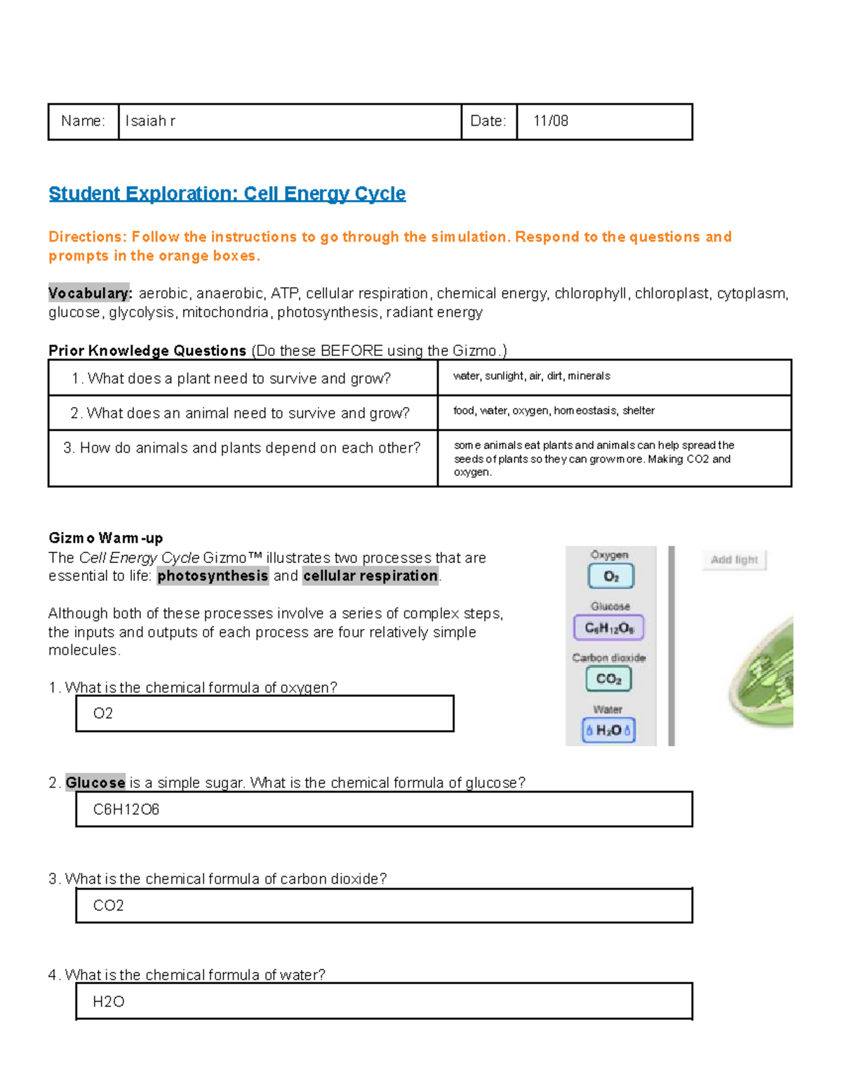 Cell Energy SE - Name: Isaiah r Date: 11/ Student Exploration: Cell ...