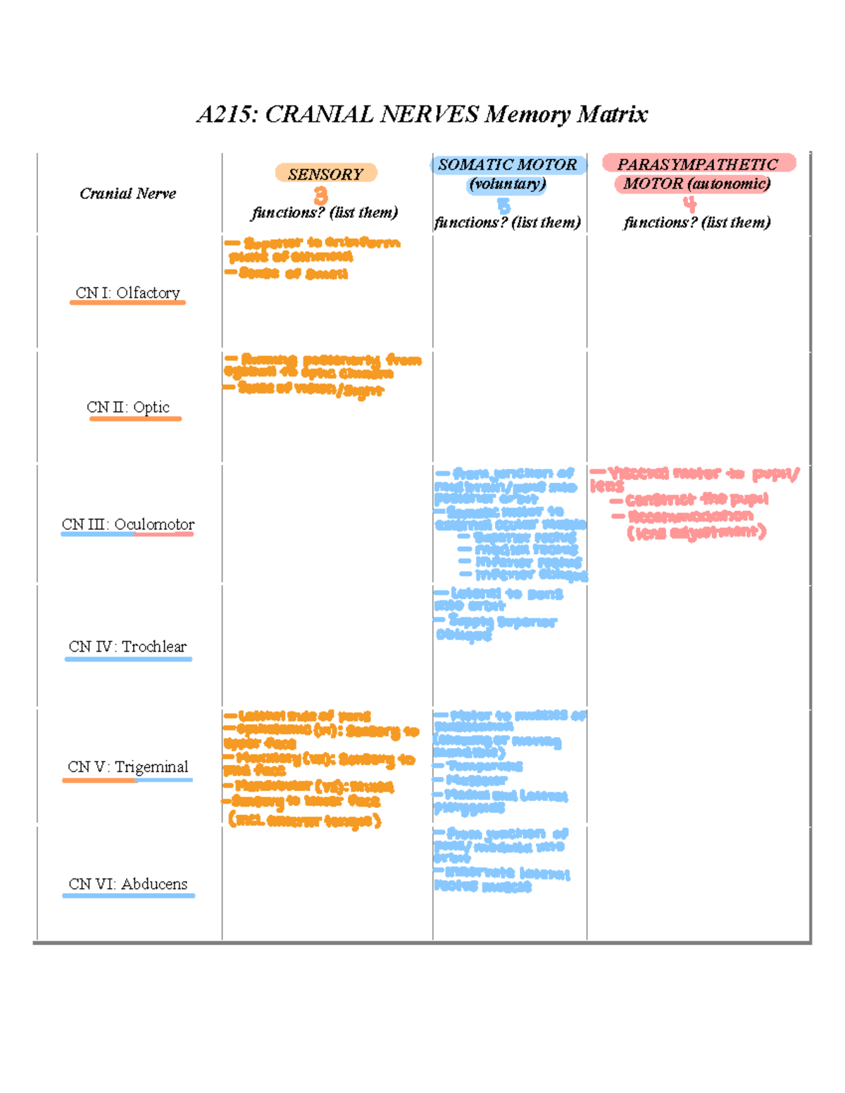 Cranial Annotated Lecture Notes A215 Cranial Nerves Memory Matrix