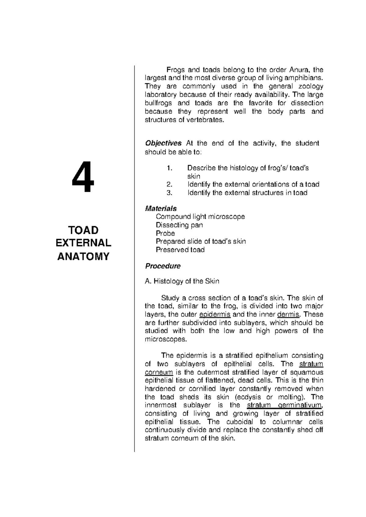 Act04 Toad External Anatomy Discussion - 4 TOAD EXTERNAL ANATOMY Frogs ...
