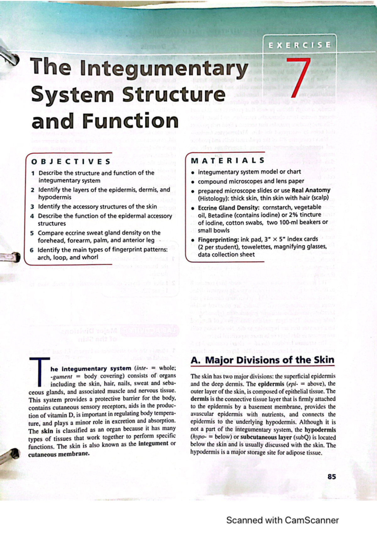 Biol The Integumentary System Structure - EXERCISE The Integumentary ...