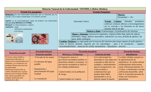Tarea de conta 3 - loufv - H0028_ANOC_MAPD_HMO_042000_2022_M ...